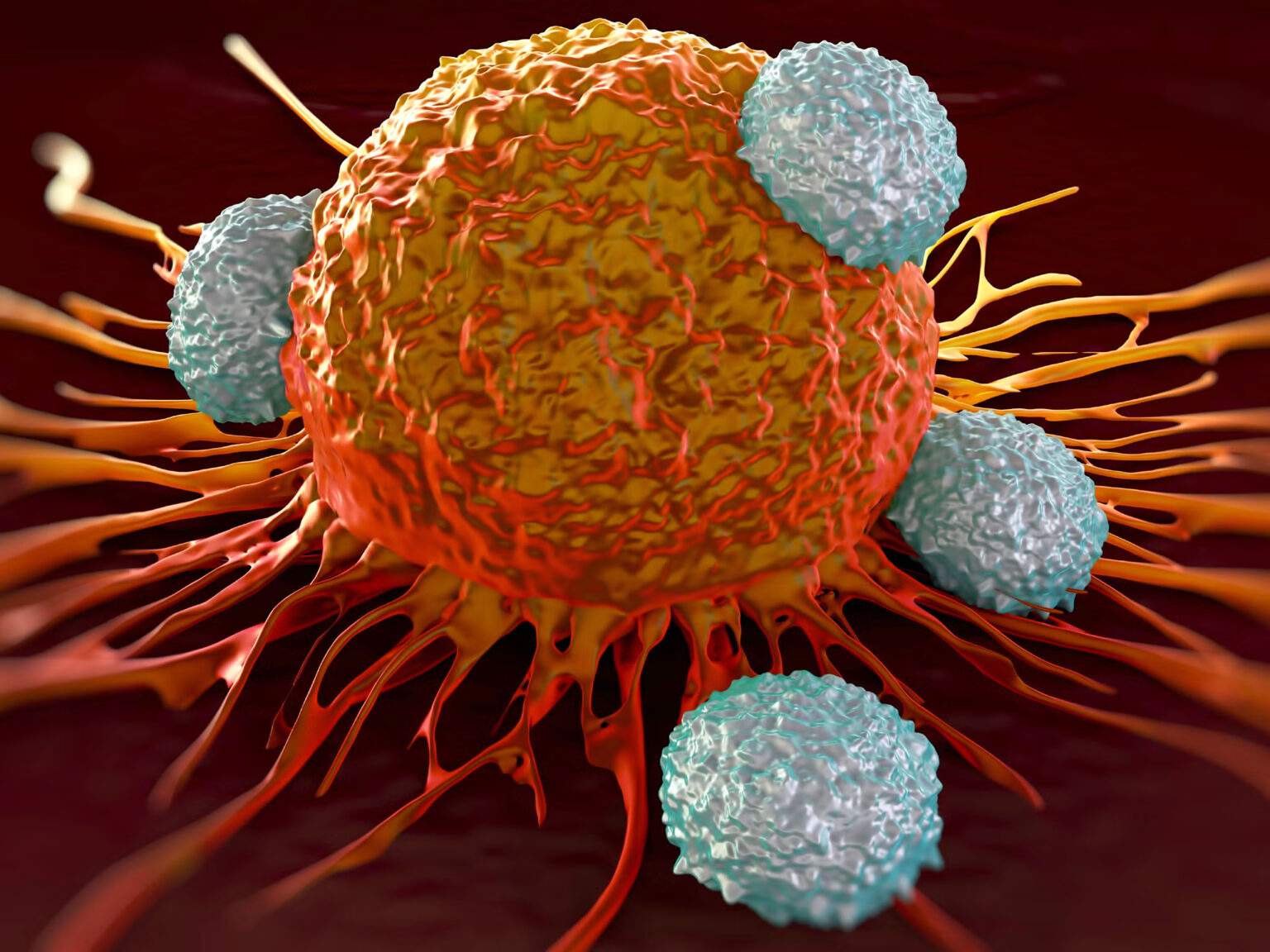 Breakthrough study suggesting a correlation between parasite infection ...